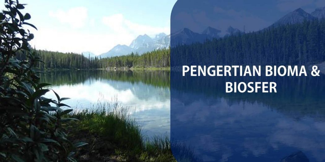 √ Pengertian BIOMA dan BIOSFER: Ciri-ciri dan Contohnya