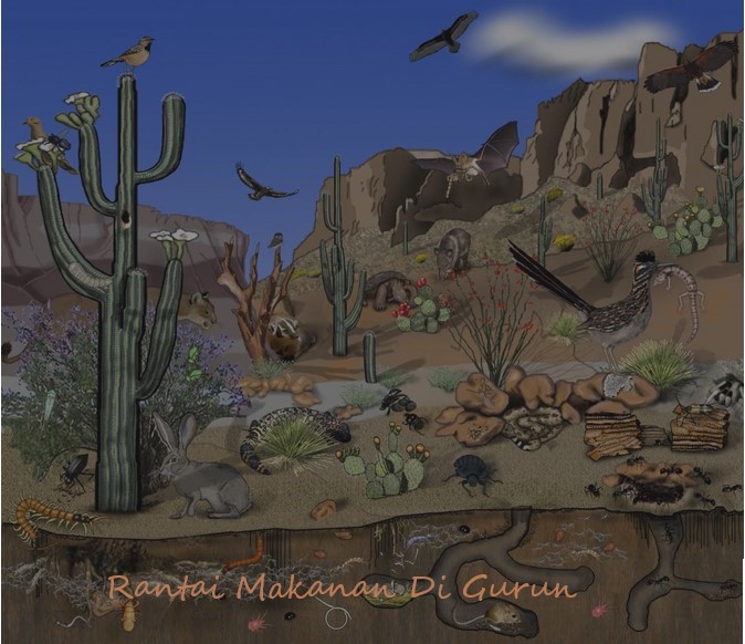 √ 5 Contoh Rantai Makanan di Darat dan Komponen Rantai Makanan